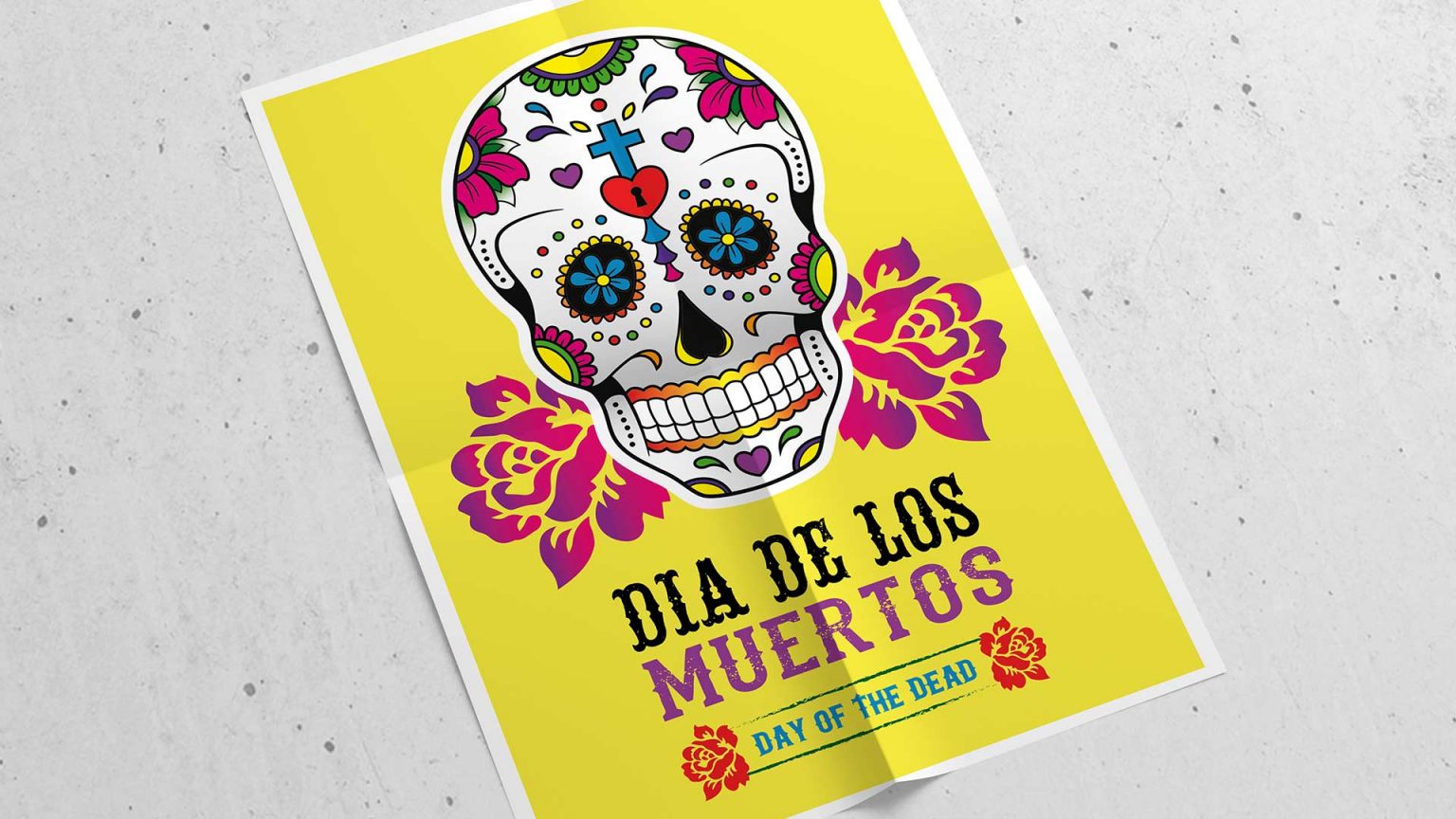 The Complete Beginners Guide To Adobe Illustrator Gareth David Studio